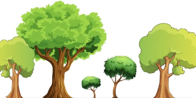 Artificial Neural Networks - Learn Data Science with Travis - your AI-powered tutor