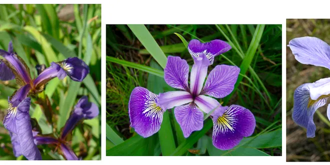 Estimation - Learn Data Science with Travis - your AI-powered tutor