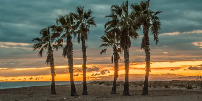 Dash python& - Learn Data Science with Travis - your AI-powered tutor