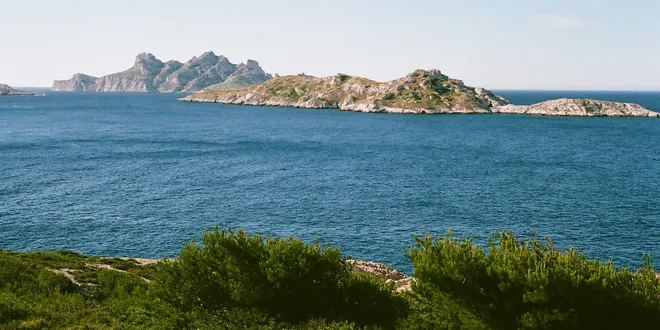 jupyter notebook - Learn Data Science with Travis - your AI-powered tutor