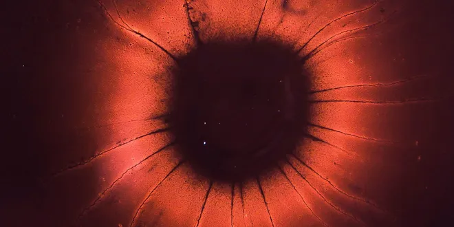 Artificial Neural Networks - Learn Data Science with Travis - your AI-powered tutor