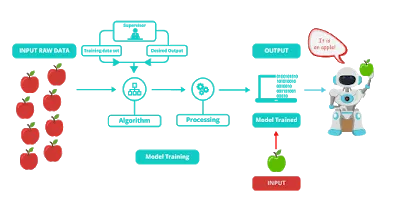 machine learning concepts input - Learn Data Science with Travis - your ...
