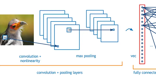 Convolutional Neural Networks - Learn Data Science with Travis - your AI-powered tutor