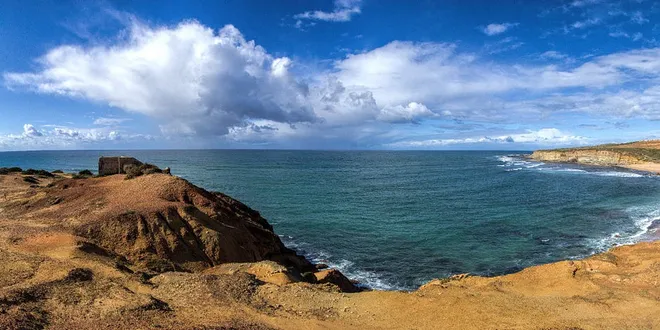 Artificial Neural Networks - Learn Data Science with Travis - your AI-powered tutor