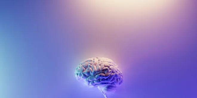 deep learning - Learn Data Science with Travis - your AI-powered tutor