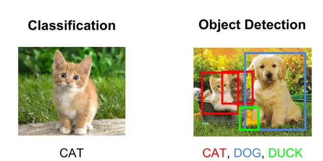 Object Detection Learn Data Science With Travis Your AI Powered Tutor