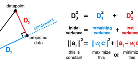 Principal Component Analysis - Learn Data Science with Travis - your AI-powered tutor