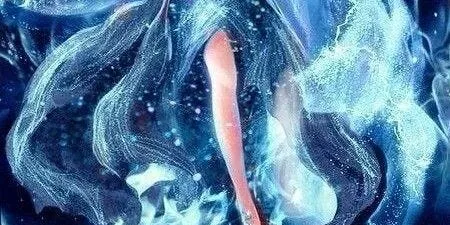 Linear Regression - Learn Data Science with Travis - your AI-powered tutor